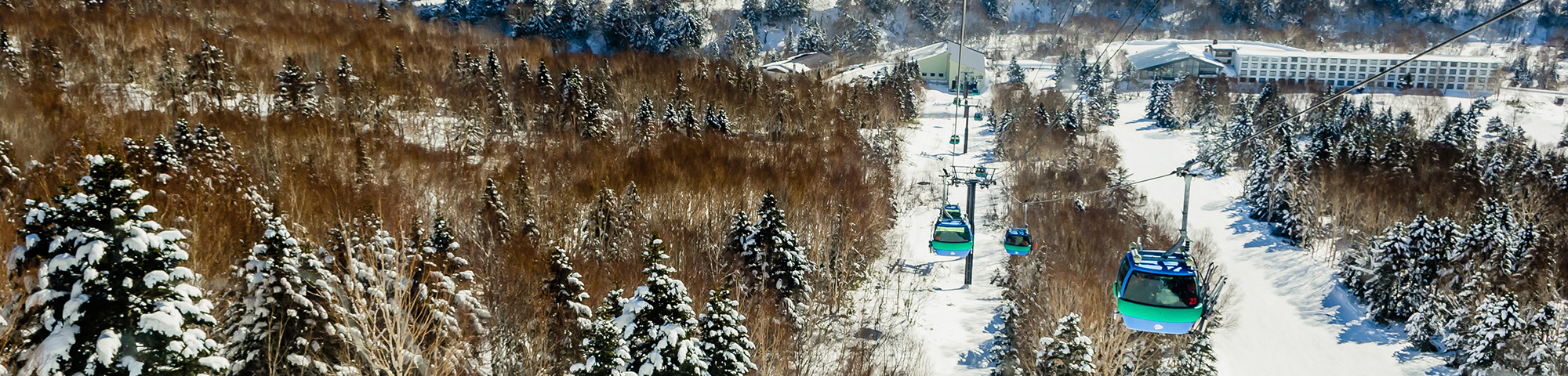Shiga Kogen Snowfall History - UPDATED 25/26 - SnowPak